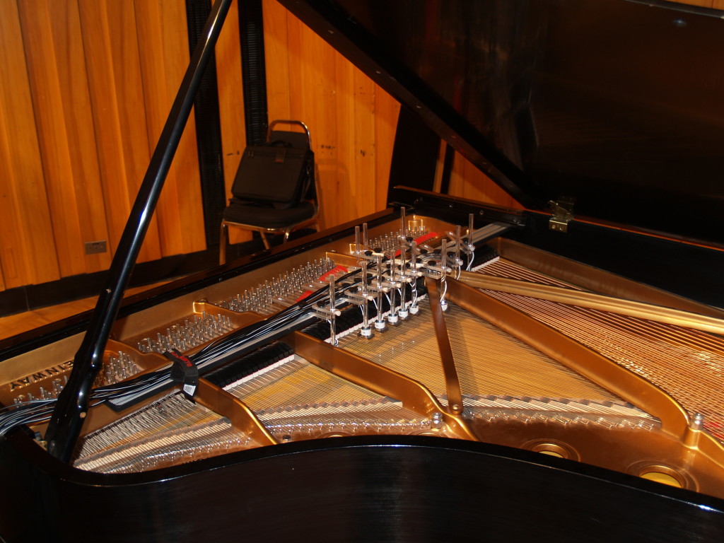 OLYMPUS DIGITAL CAMERA – The Electromagnetically-Prepared Piano